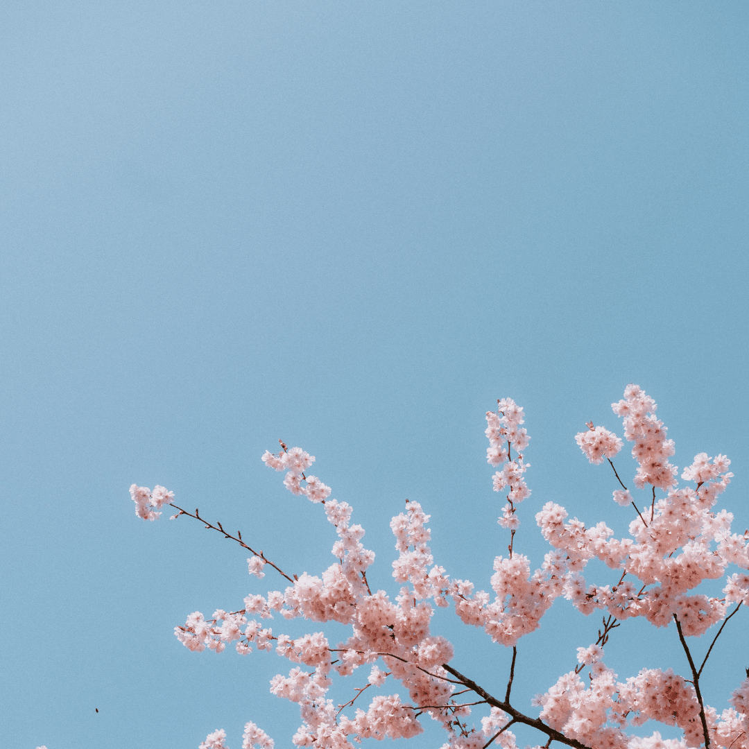 Get 20% Off No1 Lounges In This Spring | No1 Lounges